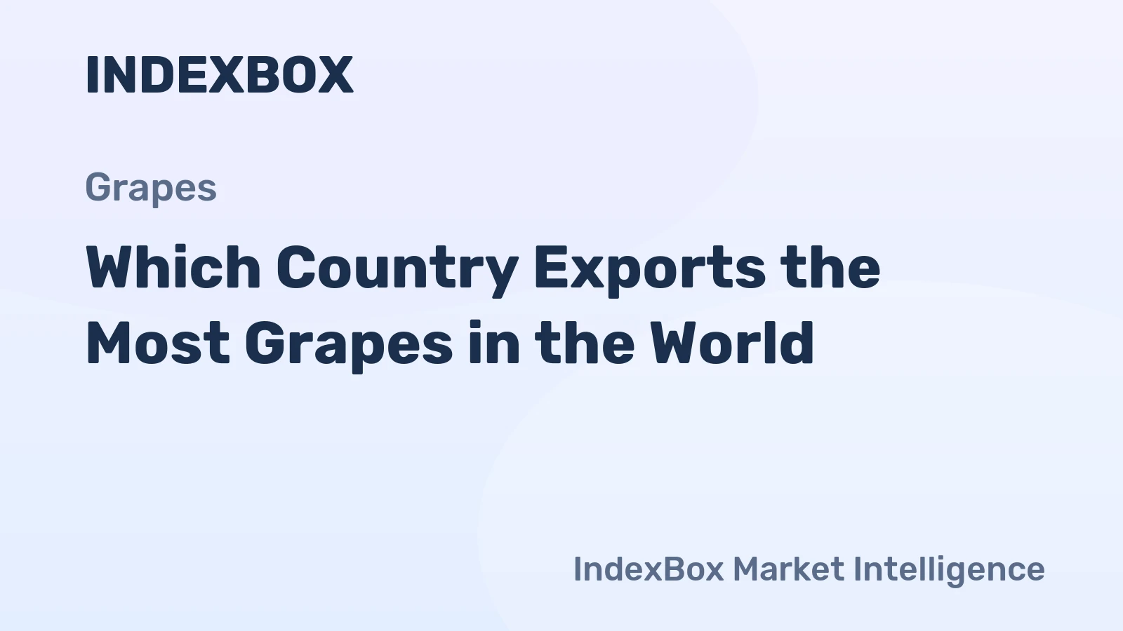 Which Country Exports the Most Grapes in the World?