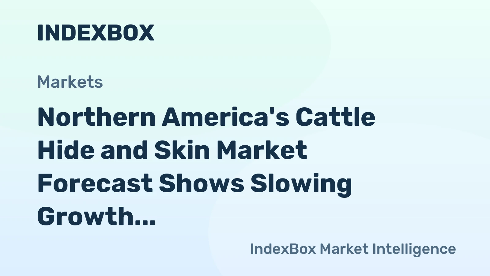 Northern America's Cattle Hide and Skin Market Forecast Shows Slowing Growth With a 0.4% Volume CAGR