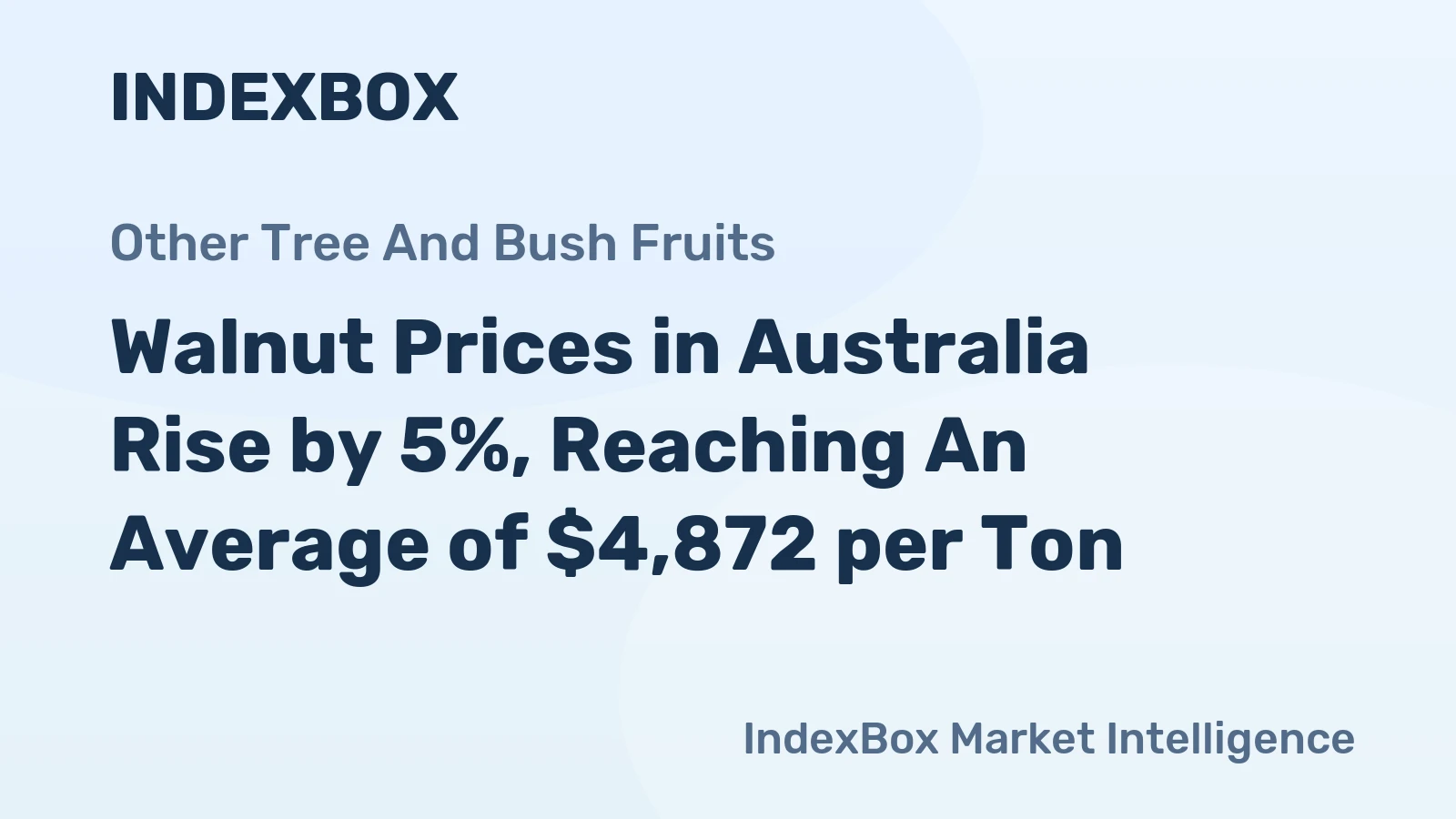 Walnut Prices in Australia Rise by 5%, Reaching An Average of $4,872 per Ton