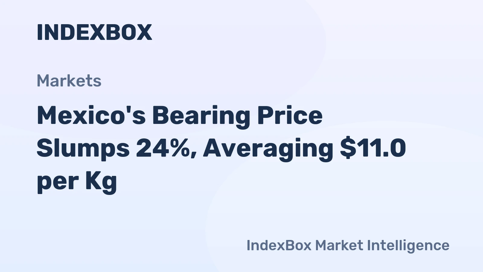Mexico's Bearing Price Slumps 24%, Averaging $11.0 per Kg