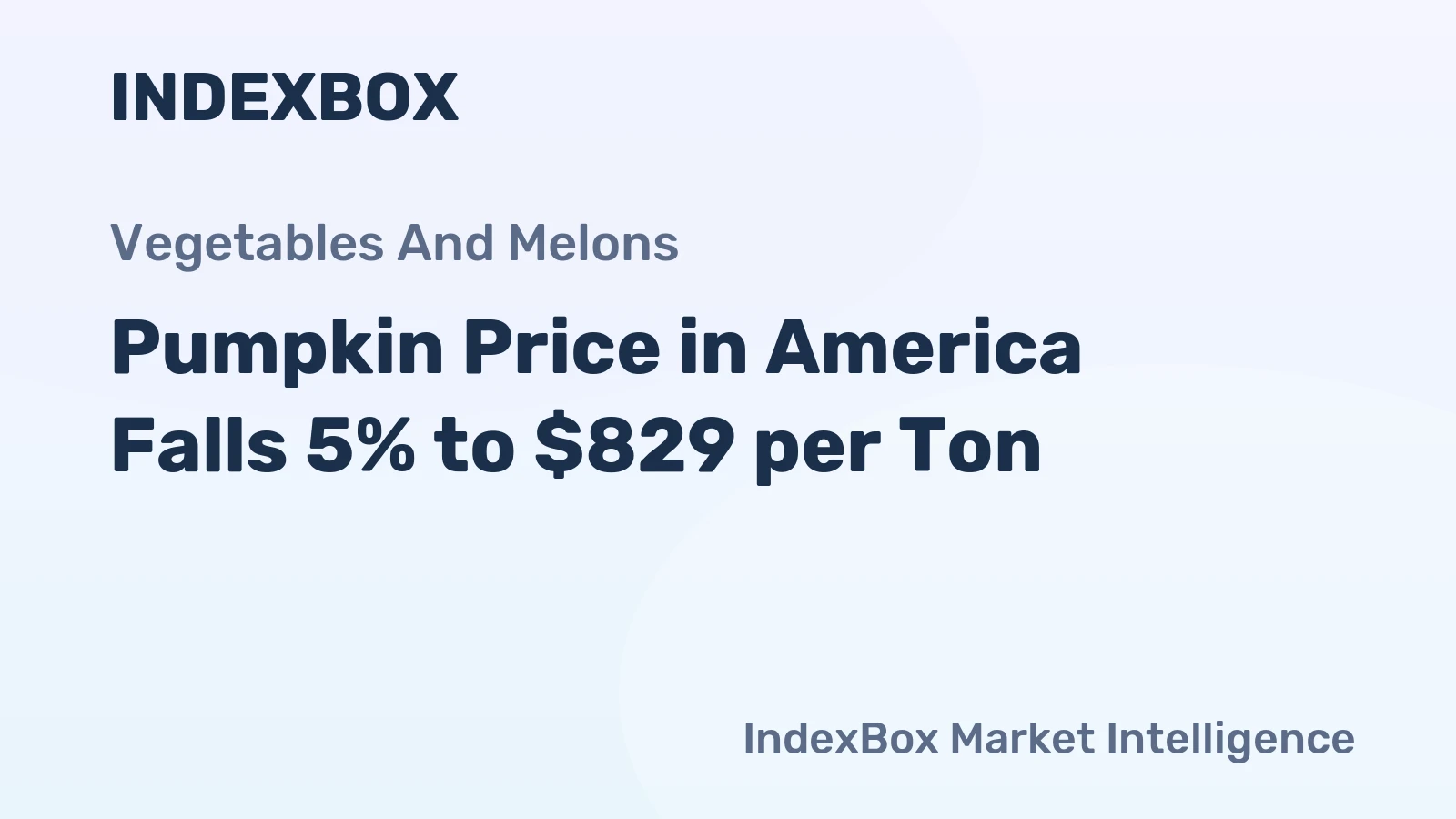 Pumpkin Price in America Falls 5% to $829 per Ton