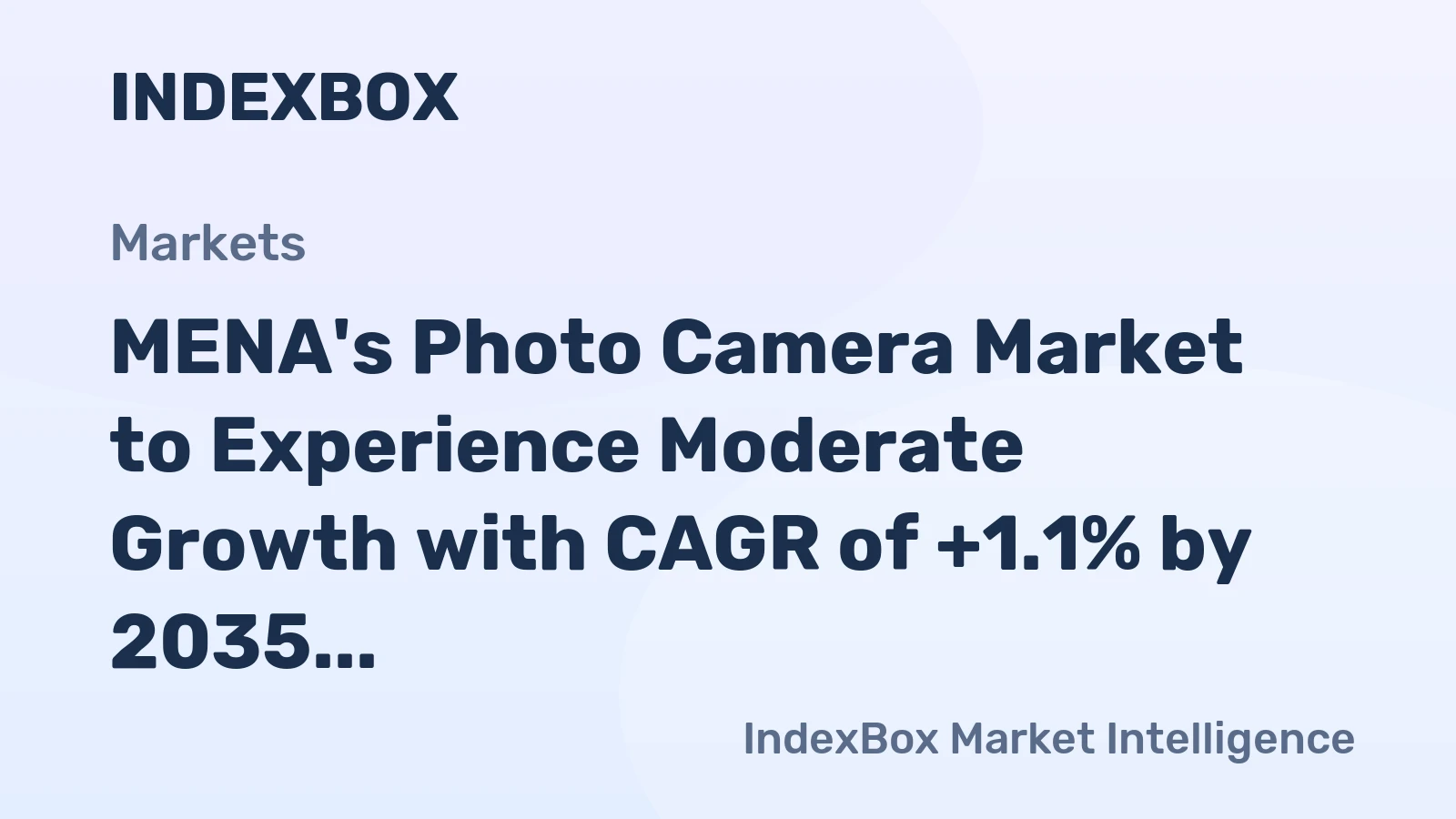 MENA's Photo Camera Market to Experience Moderate Growth with CAGR of +1.1% by 2035