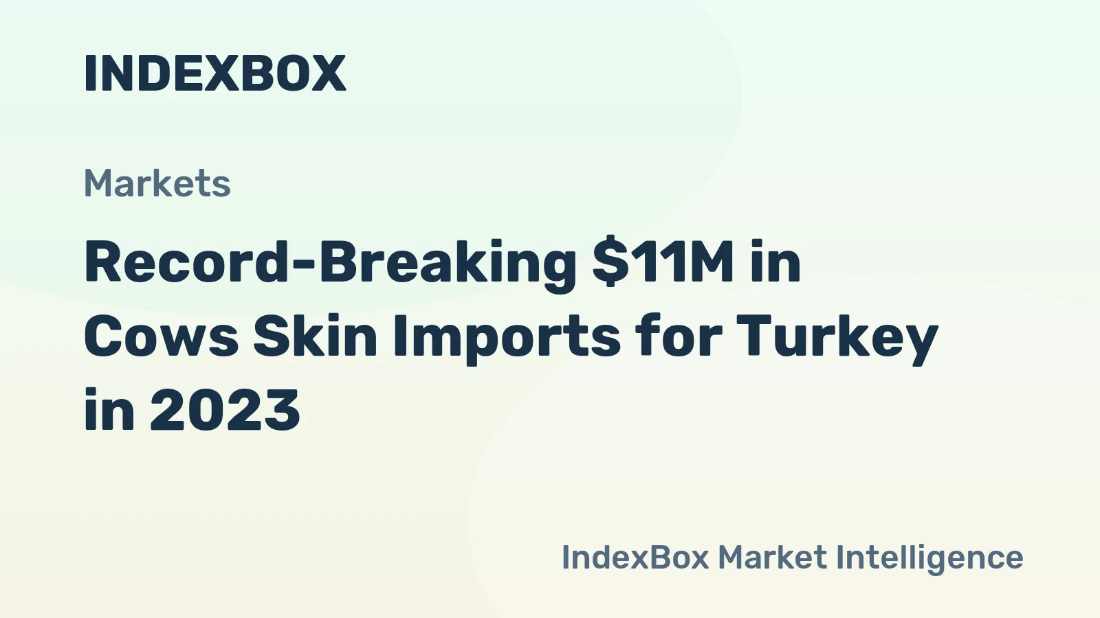 Record-Breaking $11M in Cows Skin Imports for Turkey in 2023