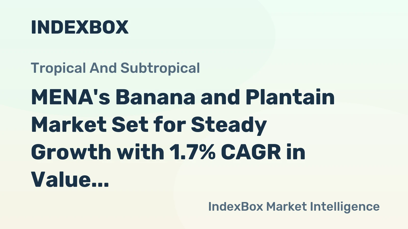MENA's Banana and Plantain Market Set for Steady Growth with 1.7% CAGR in Value