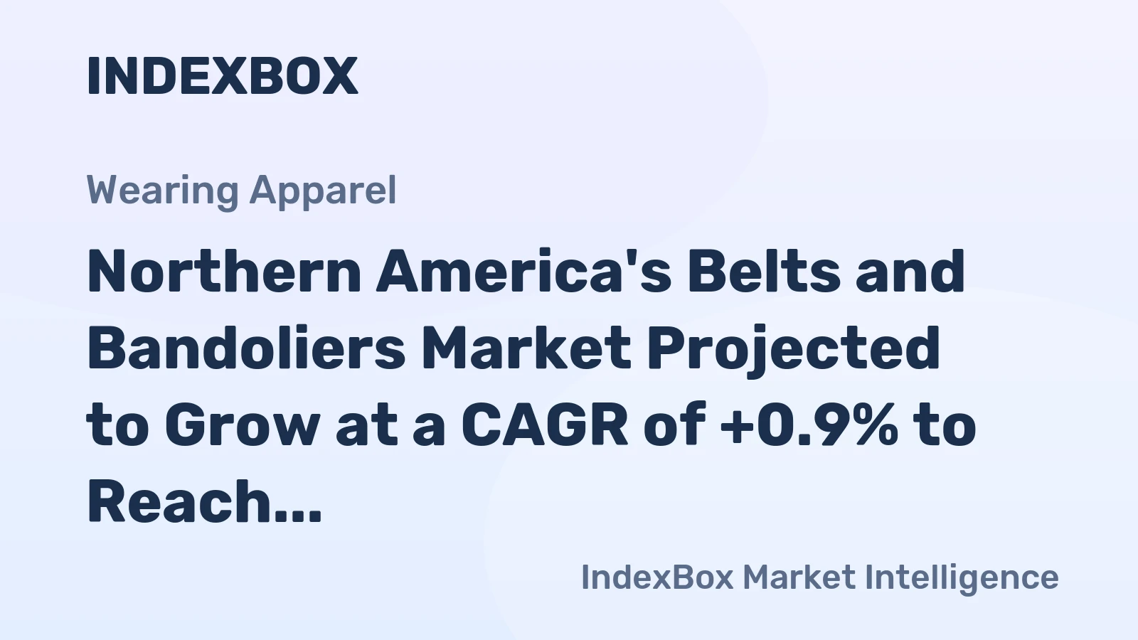Northern America's Belts and Bandoliers Market Projected to Grow at a CAGR of +0.9% to Reach $1.8B by 2035