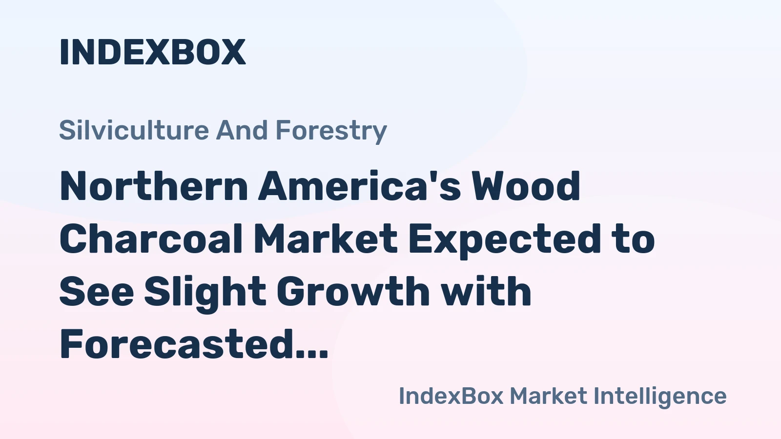 Northern America's Wood Charcoal Market Expected to See Slight Growth with Forecasted Volume of 1.3M Tons and Value of $1.3B by 2035