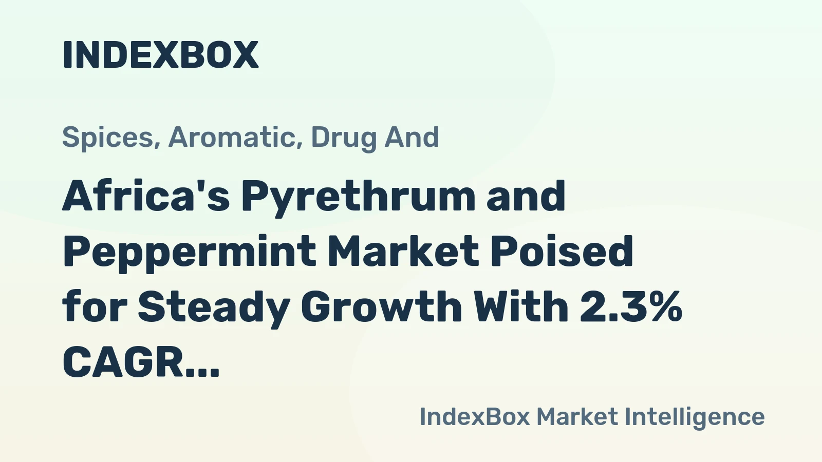 Africa's Pyrethrum and Peppermint Market Poised for Steady Growth With 2.3% CAGR in Value