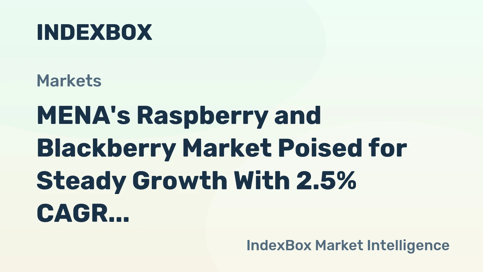 MENA's Raspberry and Blackberry Market Poised for Steady Growth With 2.5% CAGR in Value