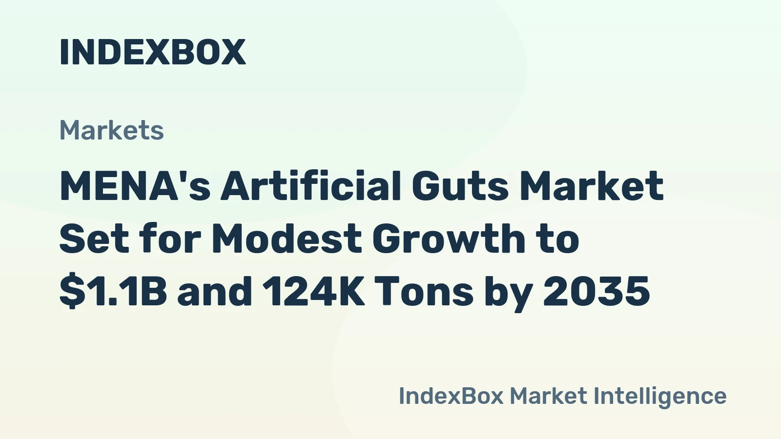 MENA's Artificial Guts Market Set for Modest Growth to $1.1B and 124K Tons by 2035