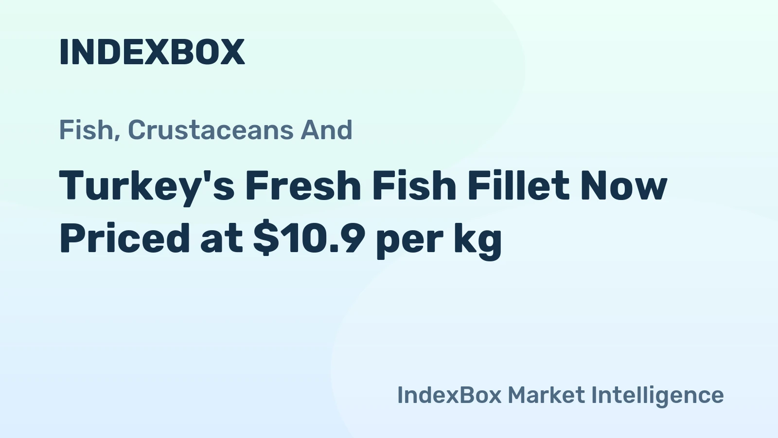 Turkey's Fresh Fish Fillet Now Priced at $10.9 per kg