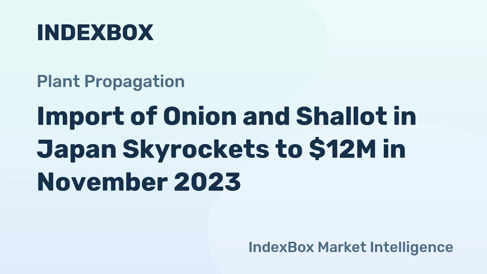 Import of Onion and Shallot in Japan Skyrockets to $12M in November 2023