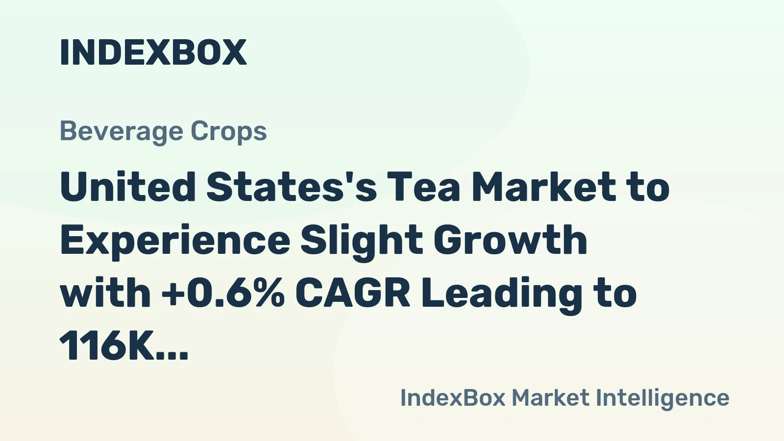 United States's Tea Market to Experience Slight Growth with +0.6% CAGR Leading to 116K Tons by 2035