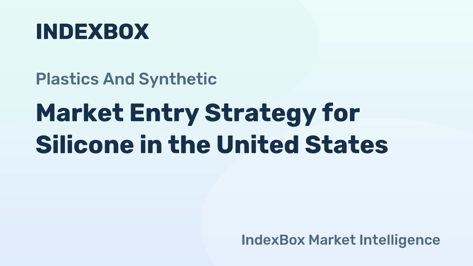 Market Entry Strategy for Silicone in the United States
