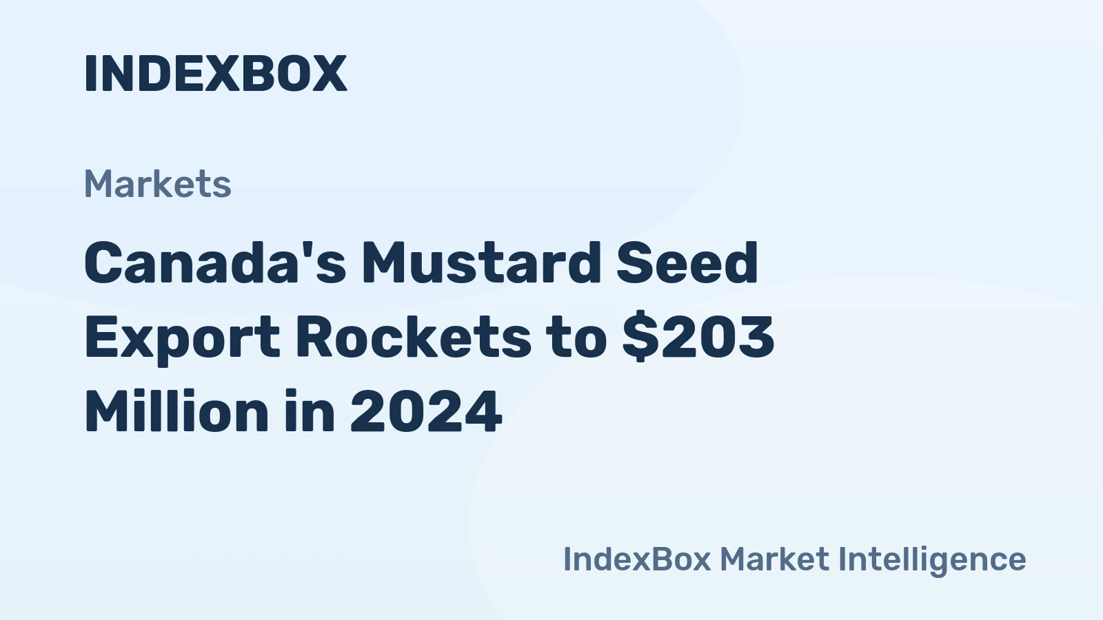 Canada's Mustard Seed Export Rockets to $203 Million in 2024