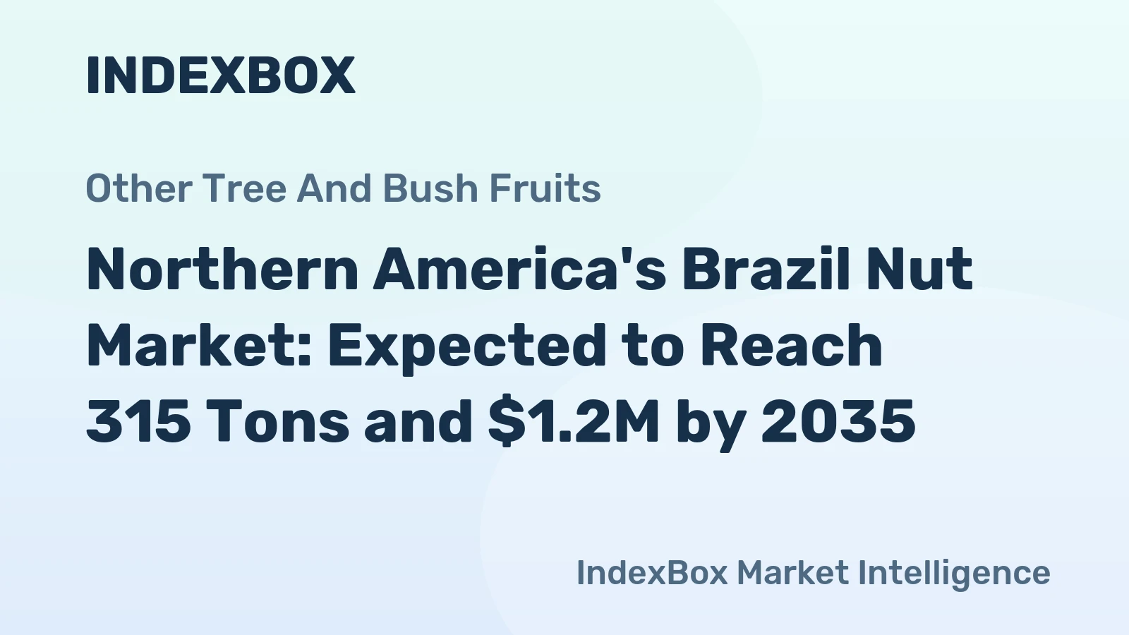 Northern America's Brazil Nut Market: Expected to Reach 315 Tons and $1.2M by 2035