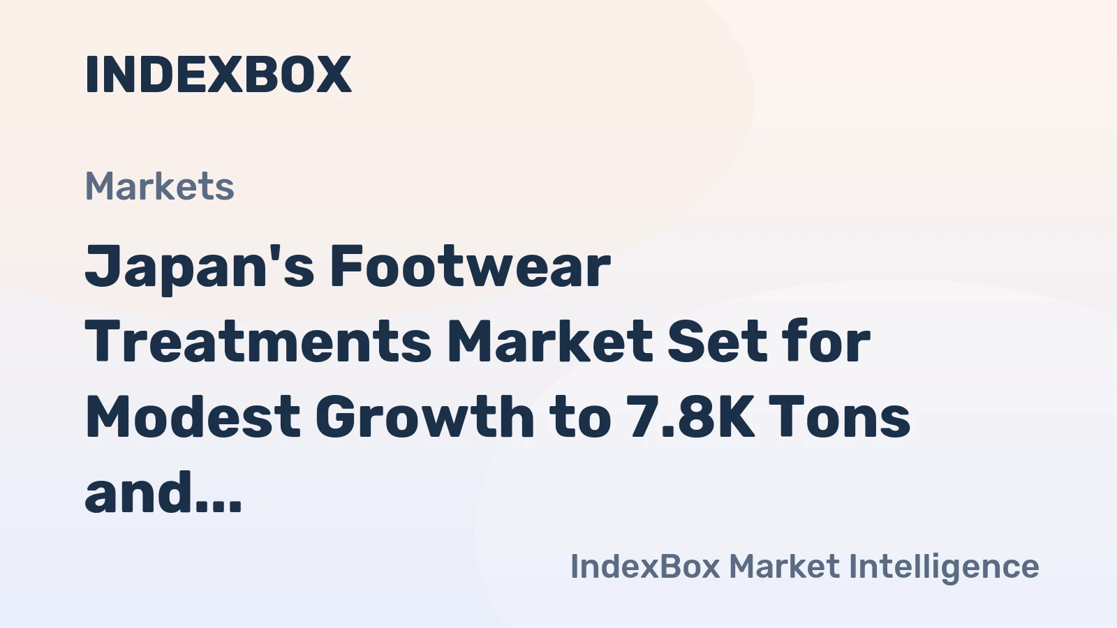 Japan's Footwear Treatments Market Set for Modest Growth to 7.8K Tons and $171M