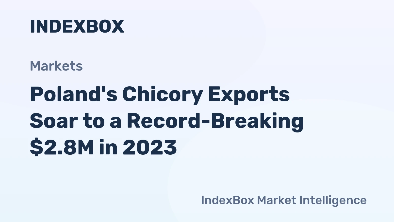 Poland's Chicory Exports Soar to a Record-Breaking $2.8M in 2023