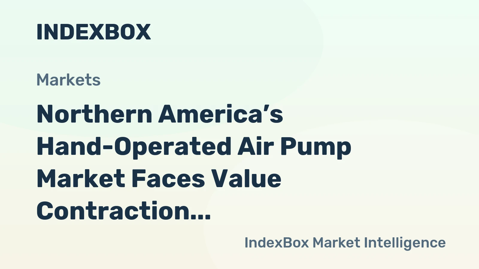 Northern America’s Hand-Operated Air Pump Market Faces Value Contraction Despite Volume Growth