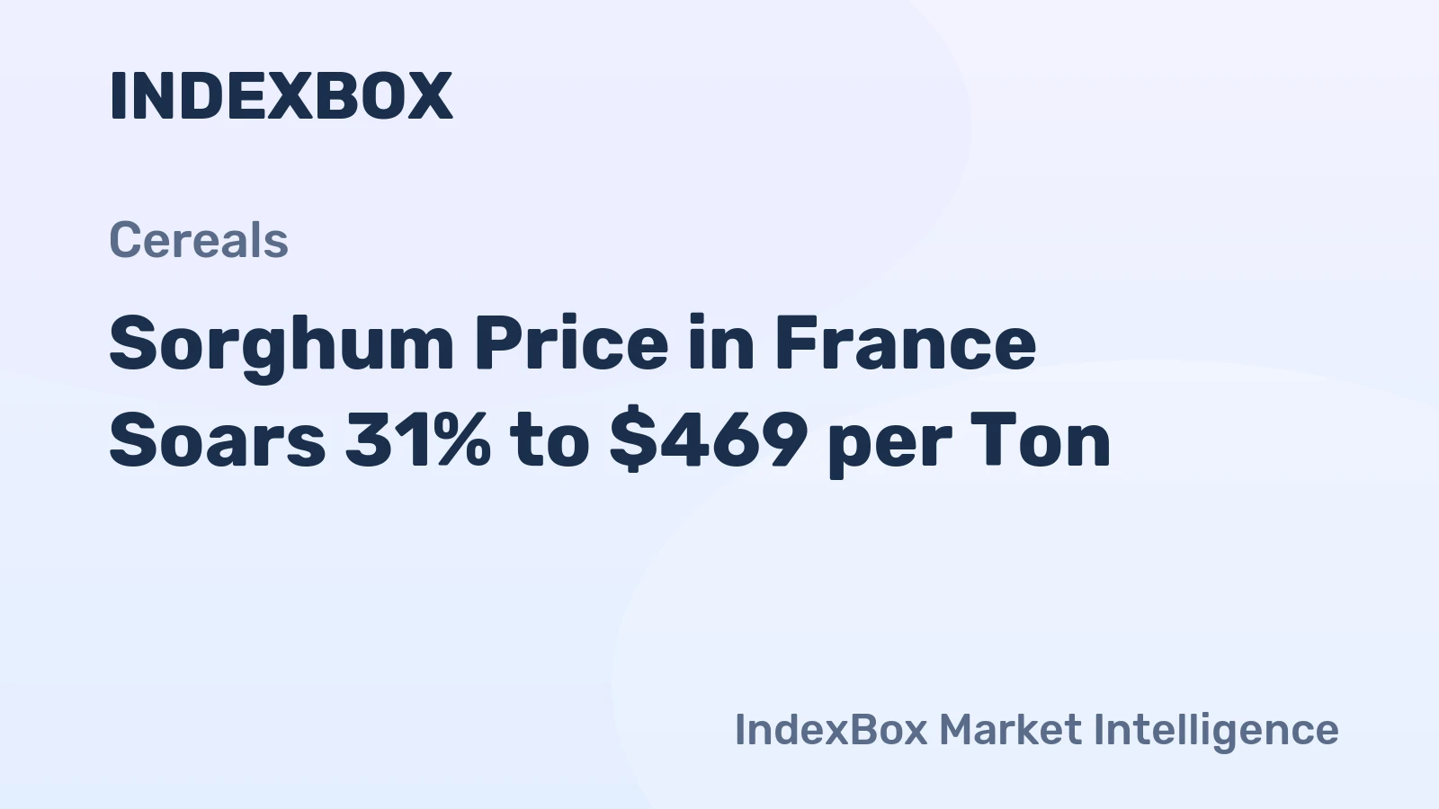 Sorghum Price in France Soars 31% to $469 per Ton