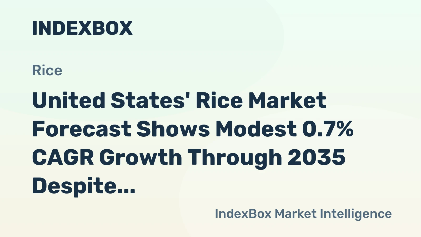 United States' Rice Market Forecast Shows Modest 0.7% CAGR Growth Through 2035 Despite Recent Consumption Decline