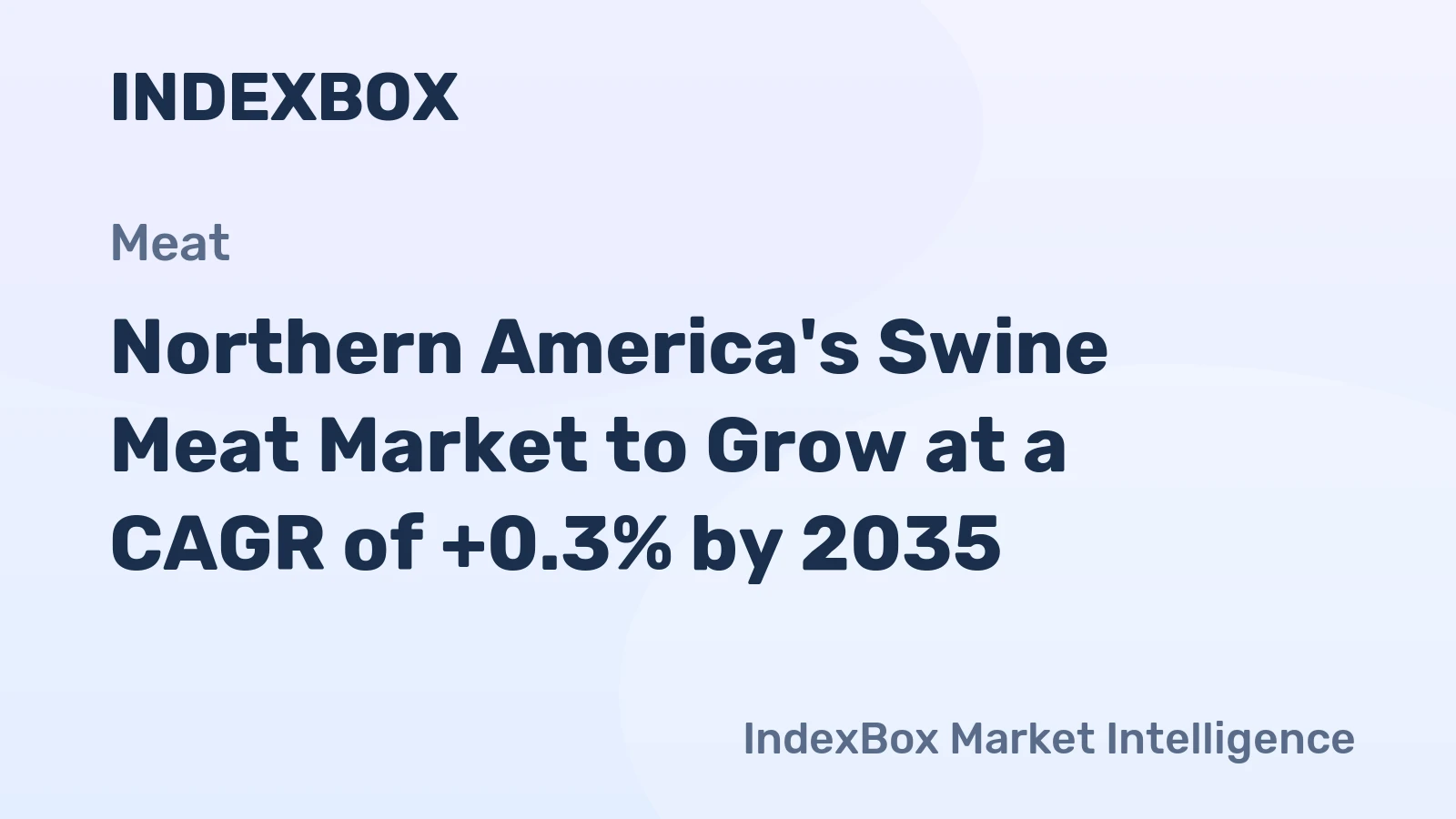 Northern America's Swine Meat Market to Grow at a CAGR of +0.3% by 2035