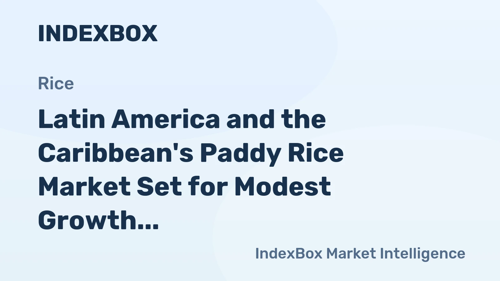 Latin America and the Caribbean's Paddy Rice Market Set for Modest Growth to 31 Million Tons and $18.5 Billion