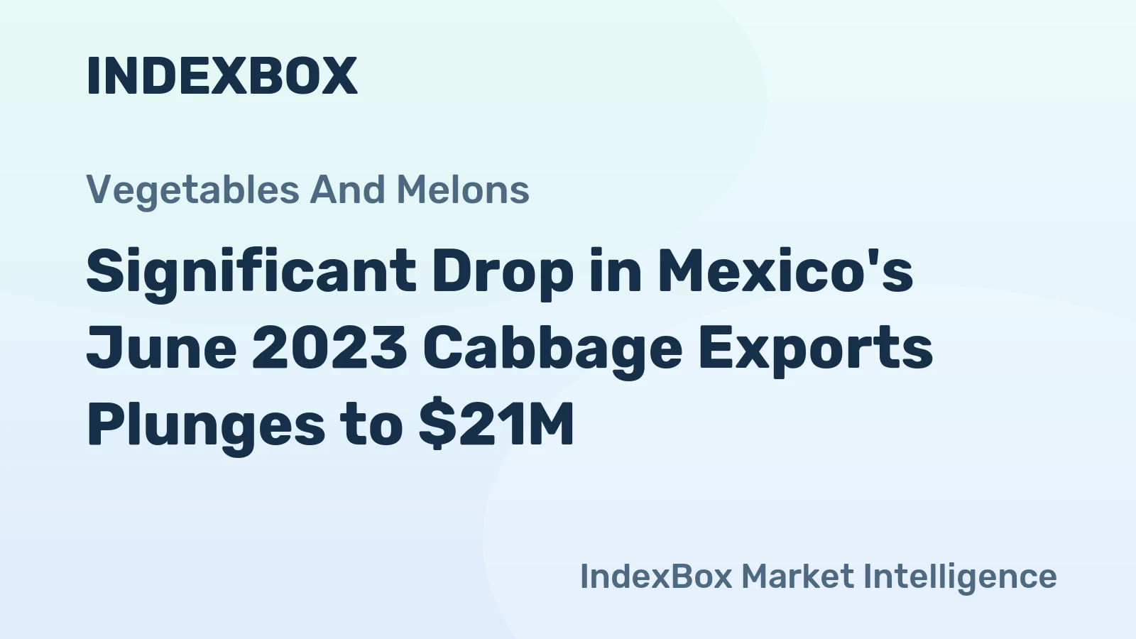 Significant Drop in Mexico's June 2023 Cabbage Exports Plunges to $21M
