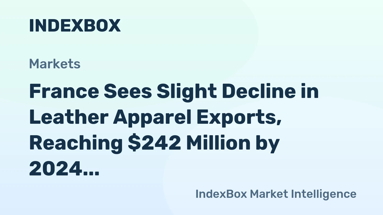 France Sees Slight Decline in Leather Apparel Exports, Reaching $242 Million by 2024