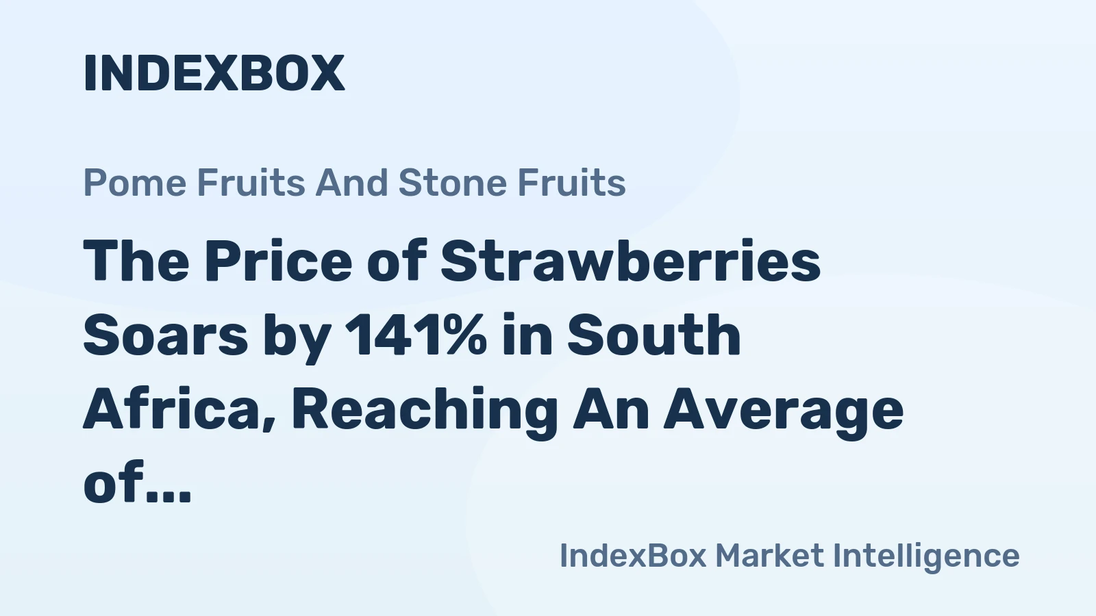 The Price of Strawberries Soars by 141% in South Africa, Reaching An Average of $4,838 per Ton