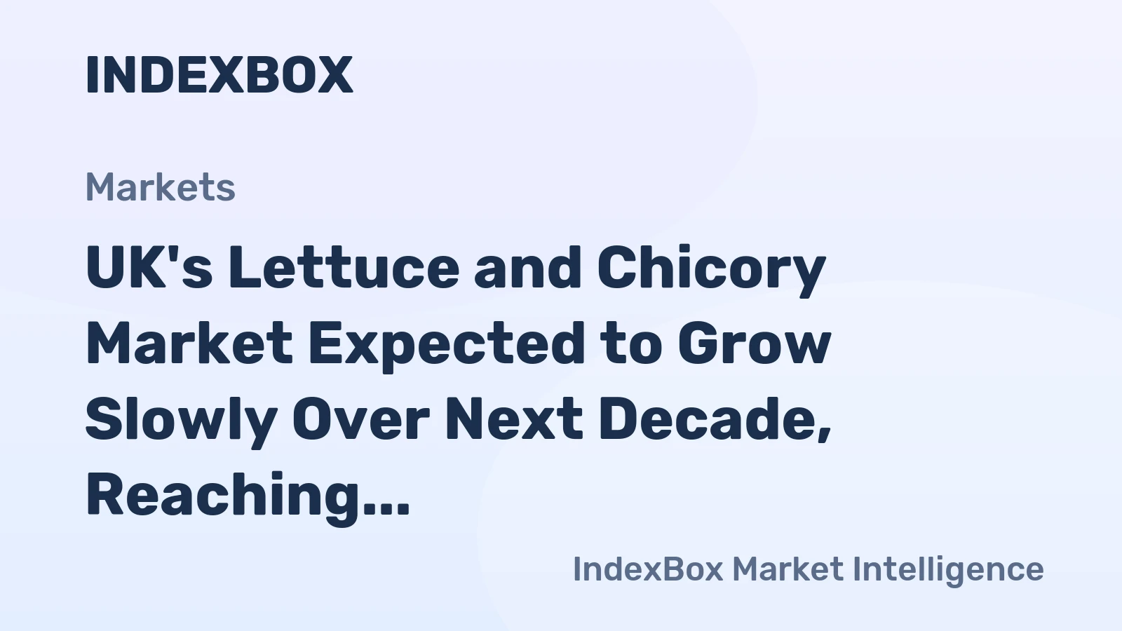 UK's Lettuce and Chicory Market Expected to Grow Slowly Over Next Decade, Reaching 232K Tons in Volume and $365M in Value by 2035