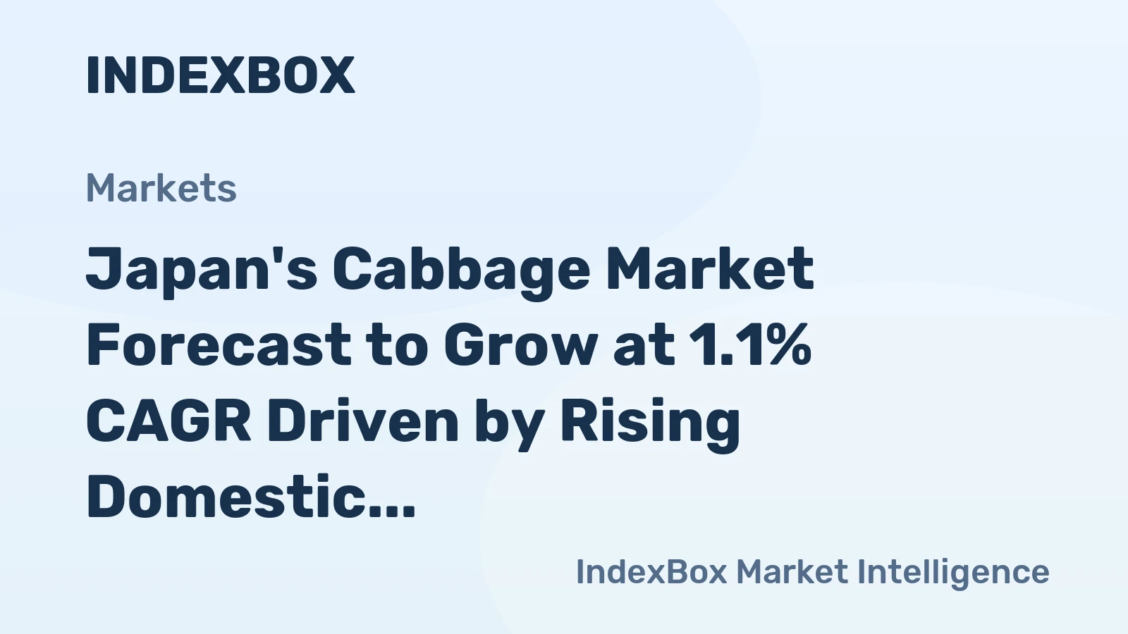 Japan's Cabbage Market Forecast to Grow at 1.1% CAGR Driven by Rising Domestic Demand
