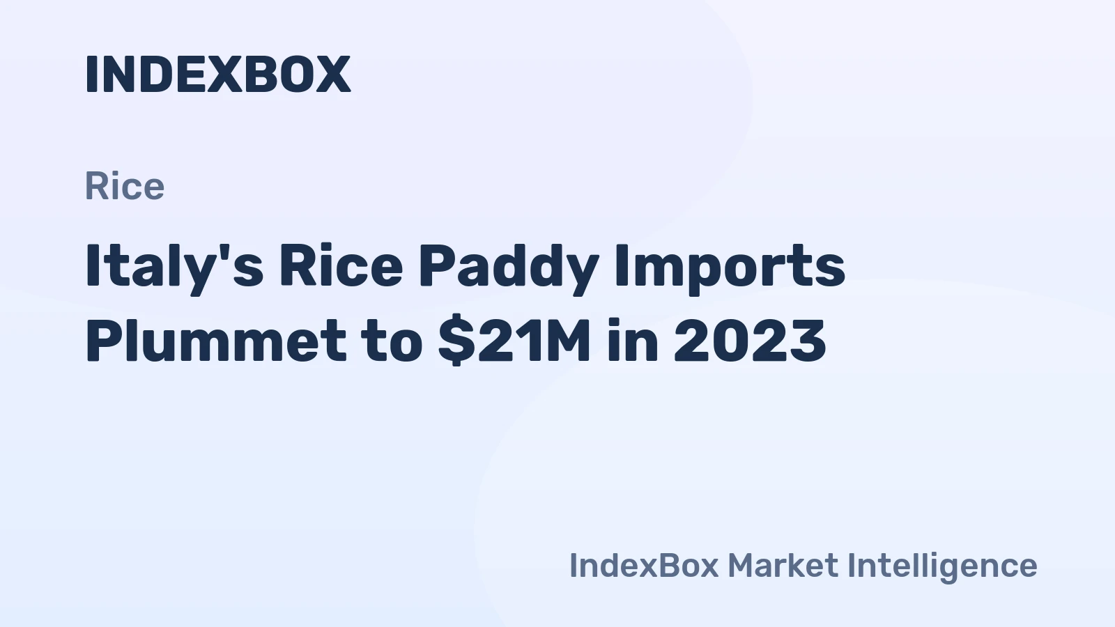 Italy's Rice Paddy Imports Plummet to $21M in 2023