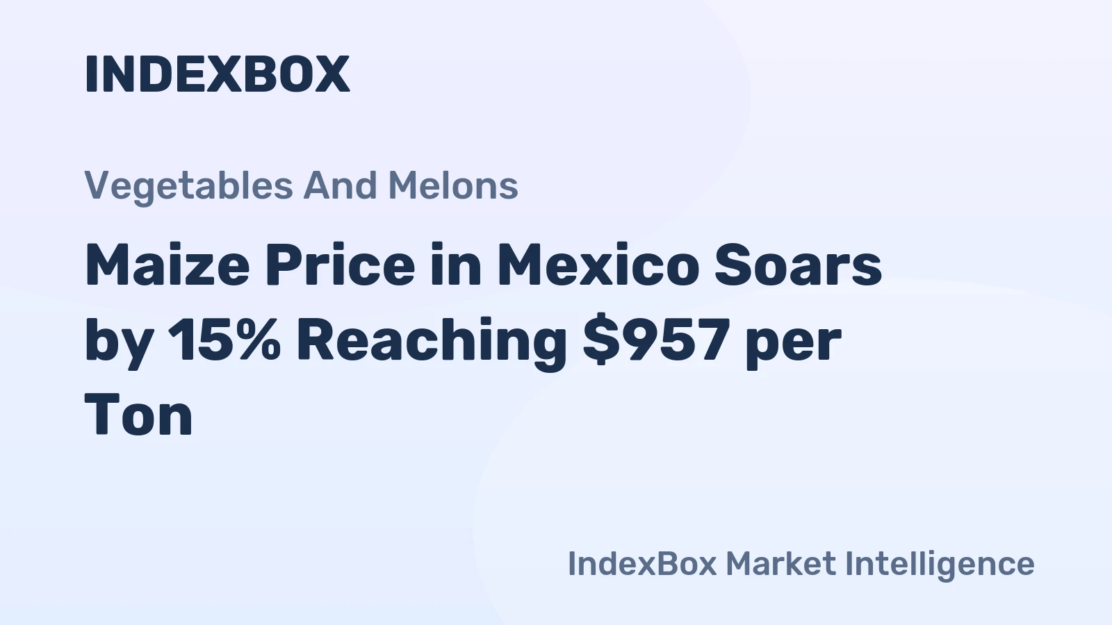 Maize Price in Mexico Soars by 15% Reaching $957 per Ton