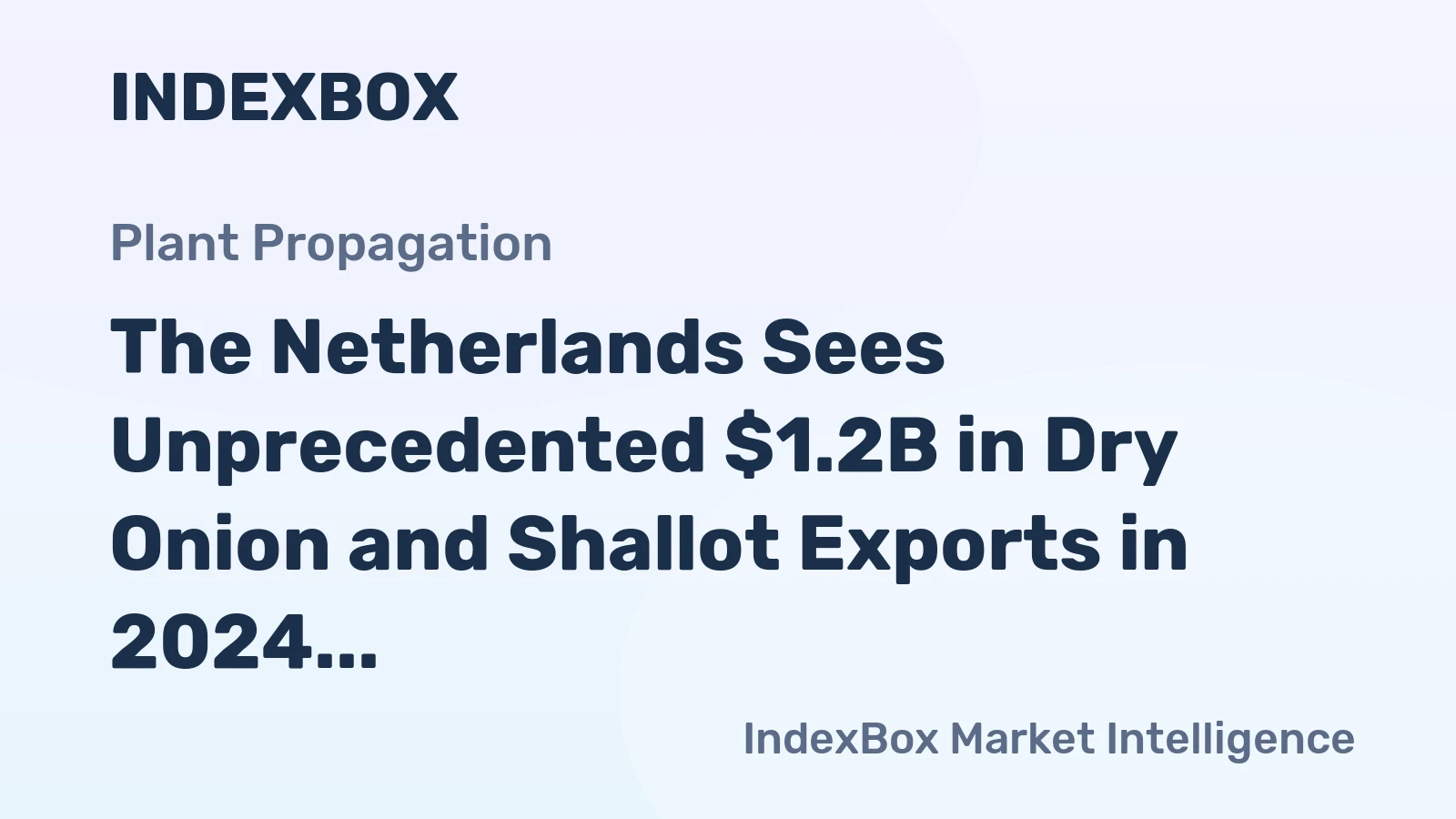 The Netherlands Sees Unprecedented $1.2B in Dry Onion and Shallot Exports in 2024