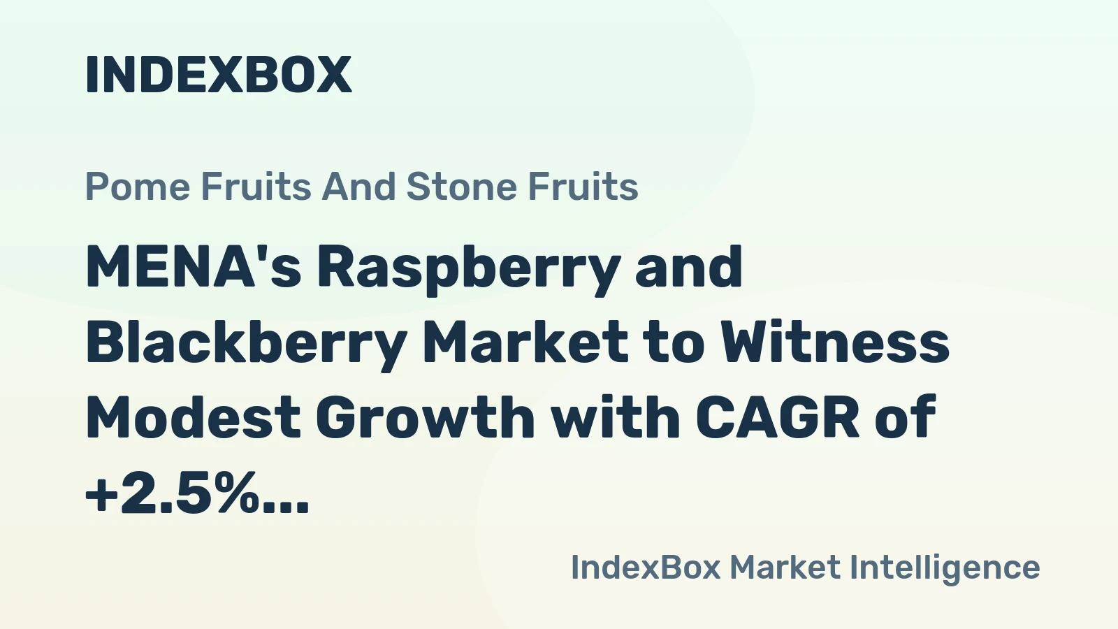 MENA's Raspberry and Blackberry Market to Witness Modest Growth with CAGR of +2.5%