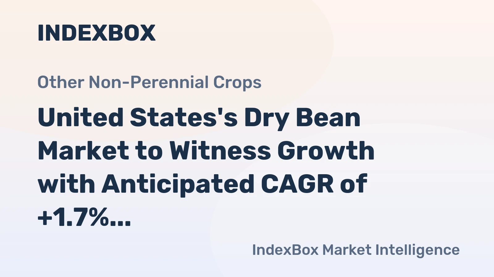 United States's Dry Bean Market to Witness Growth with Anticipated CAGR of +1.7% from 2024 to 2035