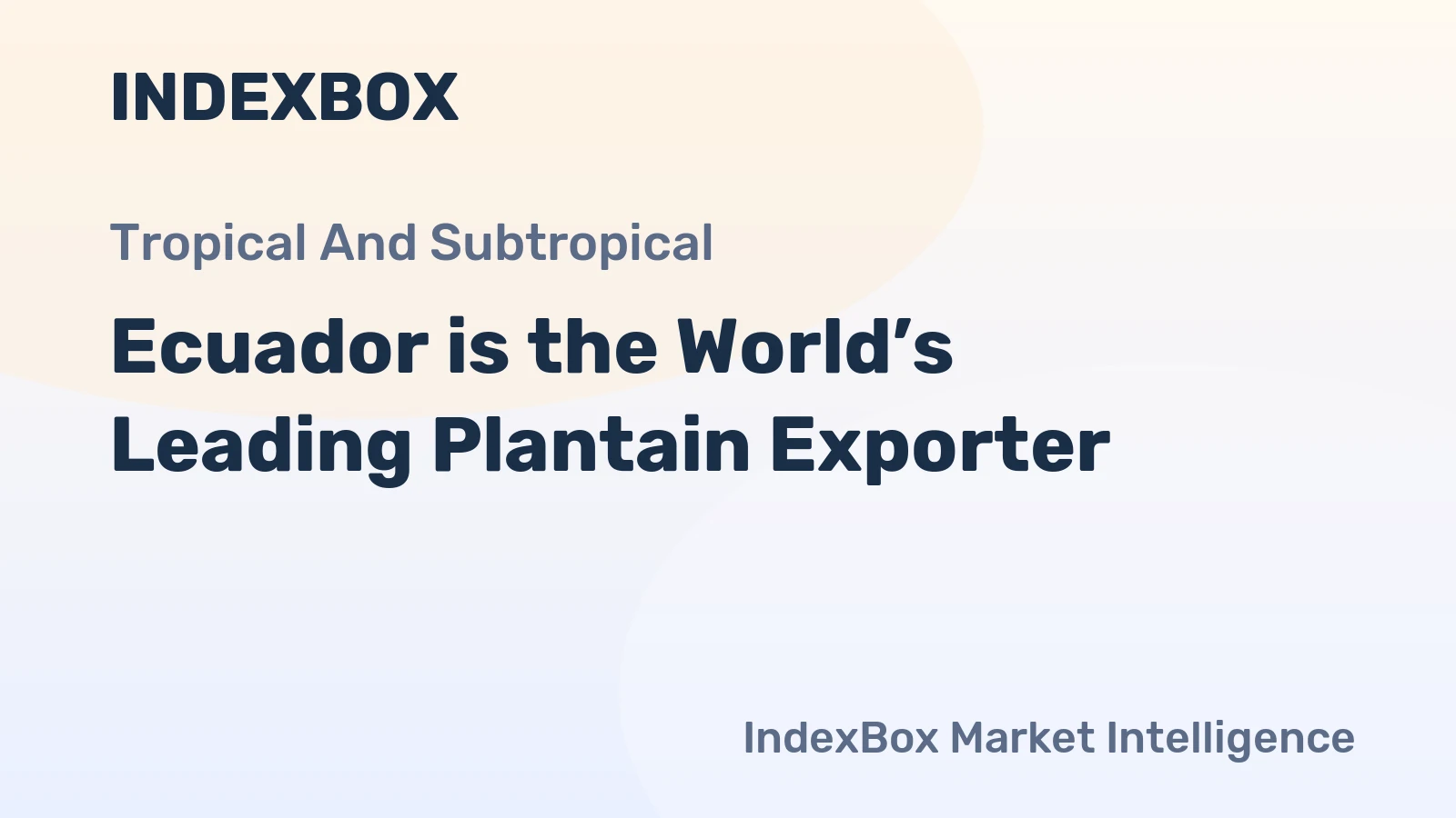 Ecuador is the World’s Leading Plantain Exporter