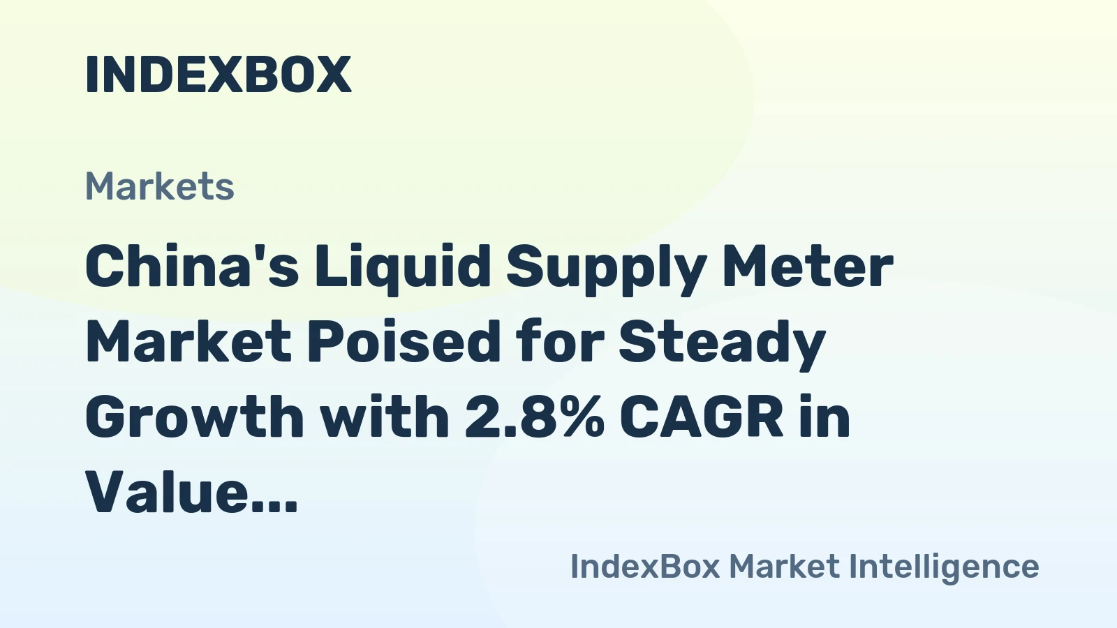 China's Liquid Supply Meter Market Poised for Steady Growth with 2.8% CAGR in Value