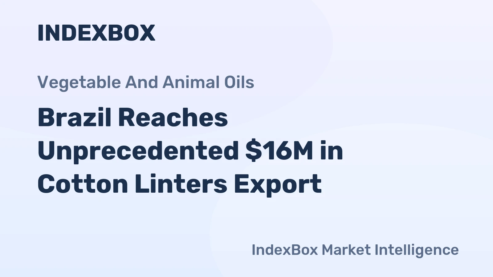 Brazil Reaches Unprecedented $16M in Cotton Linters Export
