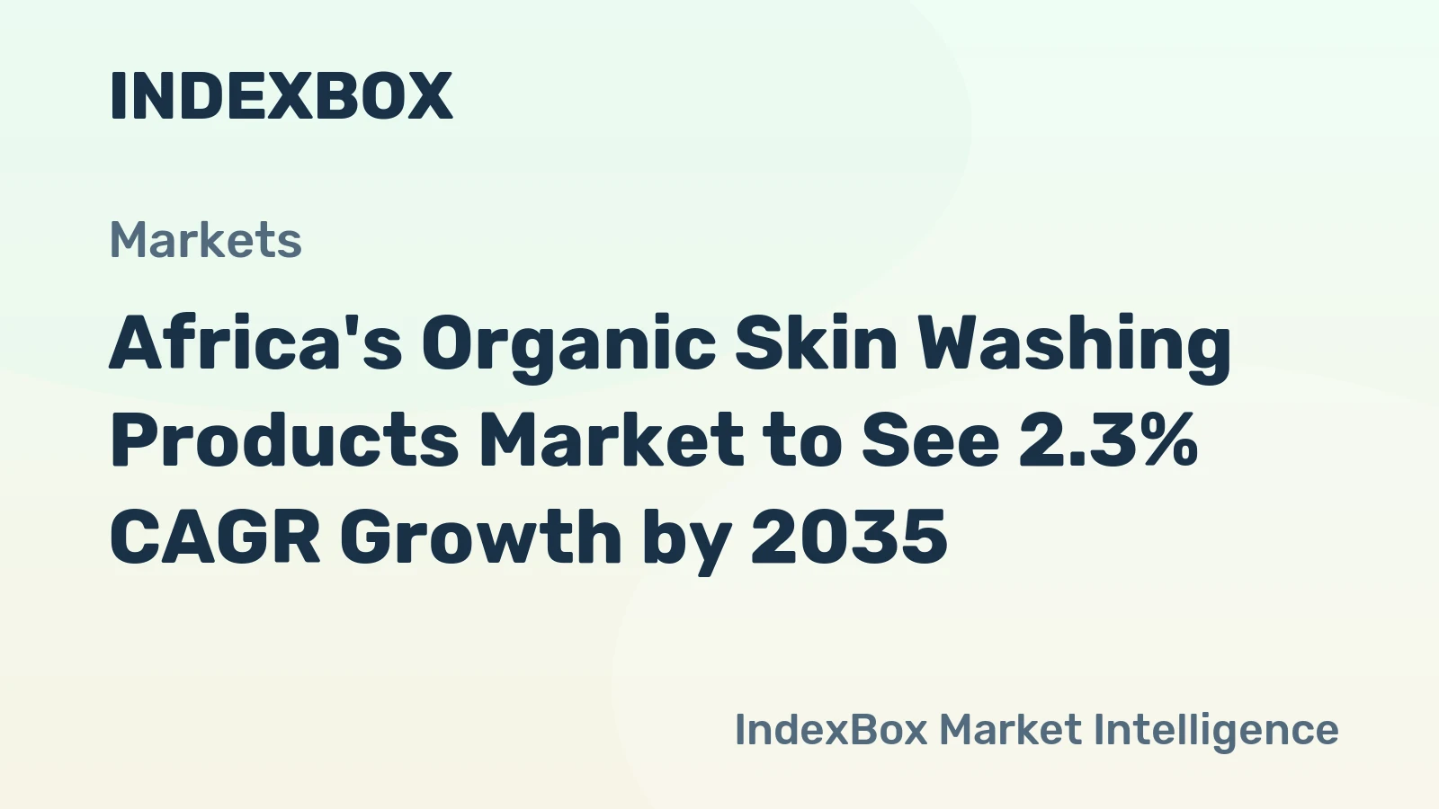 Africa's Organic Skin Washing Products Market to See 2.3% CAGR Growth by 2035