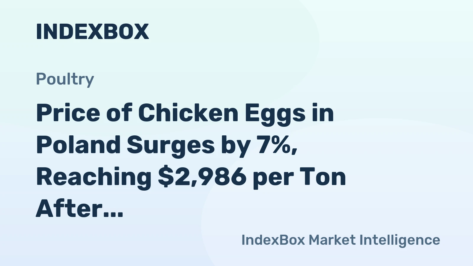 Price of Chicken Eggs in Poland Surges by 7%, Reaching $2,986 per Ton After Continuous Three-Month Spike