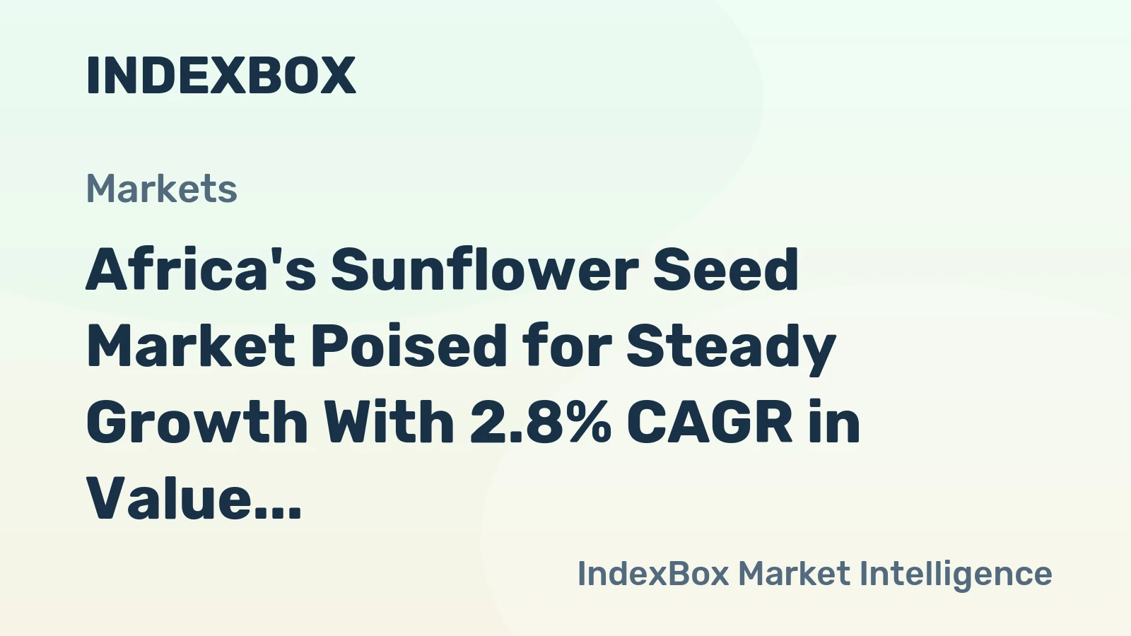 Africa's Sunflower Seed Market Poised for Steady Growth With 2.8% CAGR in Value
