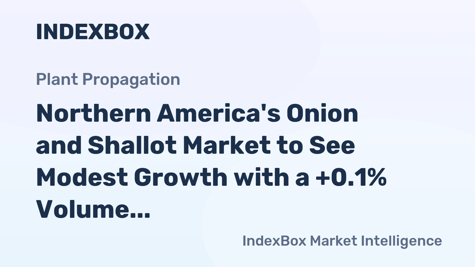 Northern America's Onion and Shallot Market to See Modest Growth with a +0.1% Volume CAGR Through 2035