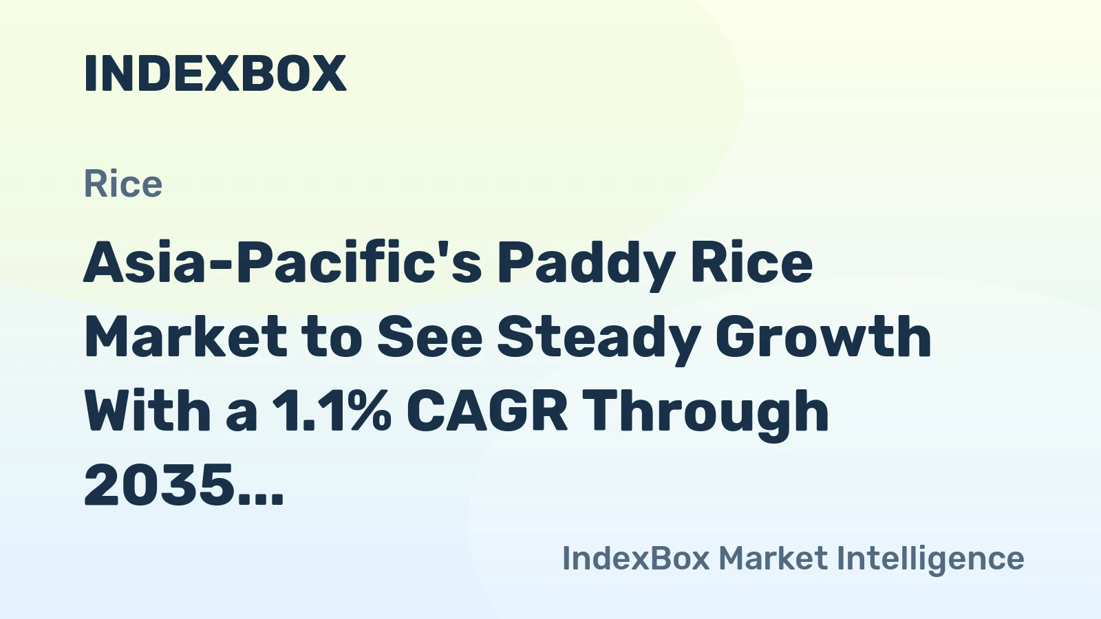 Asia-Pacific's Paddy Rice Market to See Steady Growth With a 1.1% CAGR Through 2035