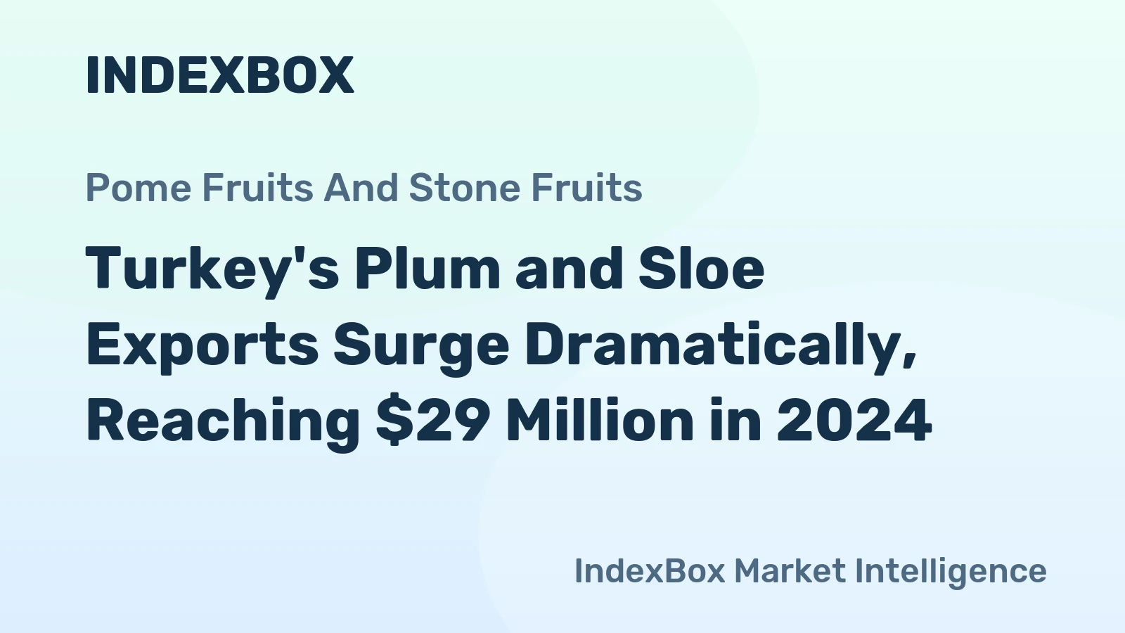 Turkey's Plum and Sloe Exports Surge Dramatically, Reaching $29 Million in 2024