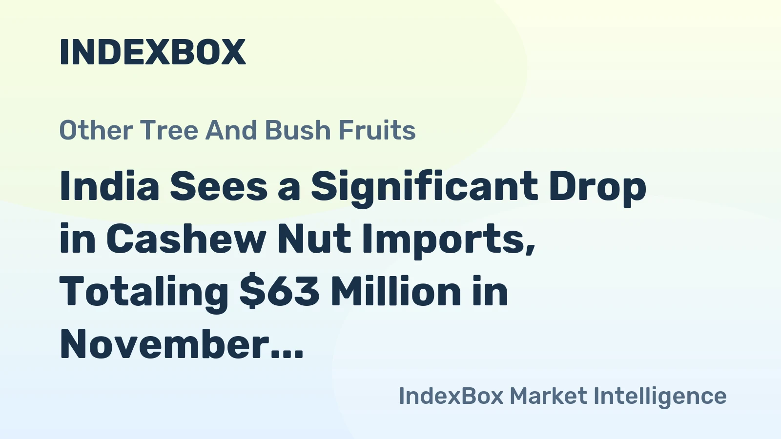 India Sees a Significant Drop in Cashew Nut Imports, Totaling $63 Million in November 2023.