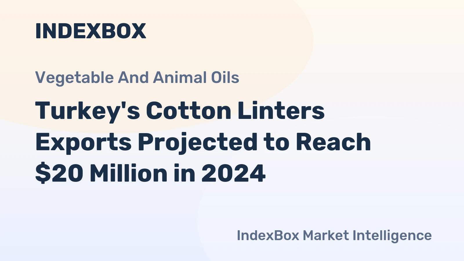 Turkey's Cotton Linters Exports Projected to Reach $20 Million in 2024