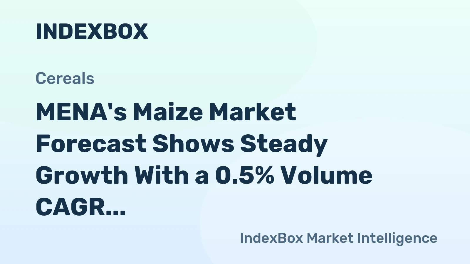 MENA's Maize Market Forecast Shows Steady Growth With a 0.5% Volume CAGR Through 2035
