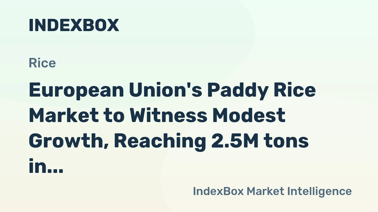 European Union's Paddy Rice Market to Witness Modest Growth, Reaching 2.5M tons in Volume and $1.9B in Value by 2035