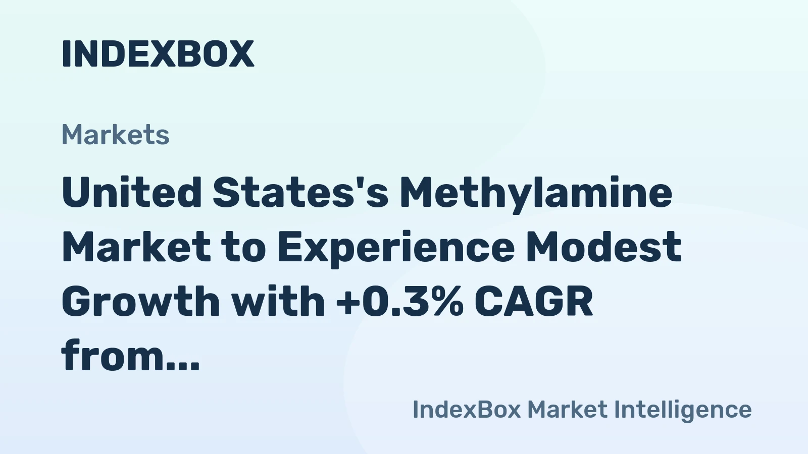 United States's Methylamine Market to Experience Modest Growth with +0.3% CAGR from 2024 to 2035